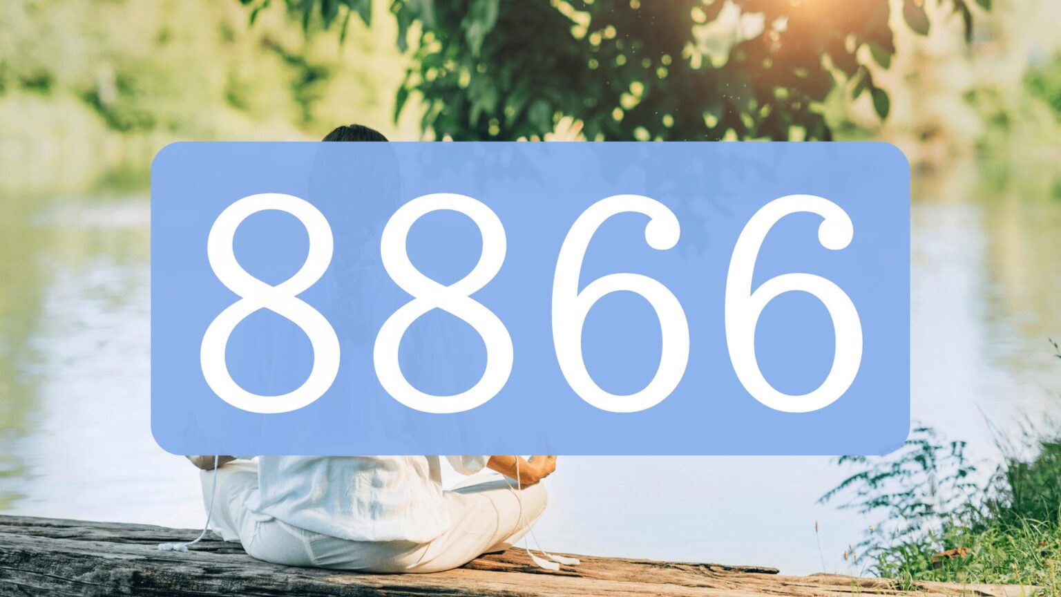 【8866】エンジェルナンバーの意味は？ツインレイ・片思い・金運のメッセージ | やさしいエンジェルナンバー