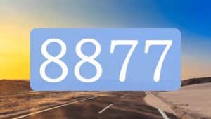 【8877】エンジェルナンバーの意味は？ツインレイ・片思い・金運のメッセージ | やさしいエンジェルナンバー