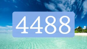 【4488】エンジェルナンバーの意味は？ツインレイ・恋愛・金運のメッセージ | やさしいエンジェルナンバー