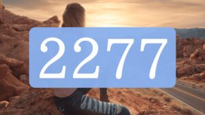 【2277】エンジェルナンバーの意味は？ツインレイ・恋愛・金運のメッセージ | やさしいエンジェルナンバー