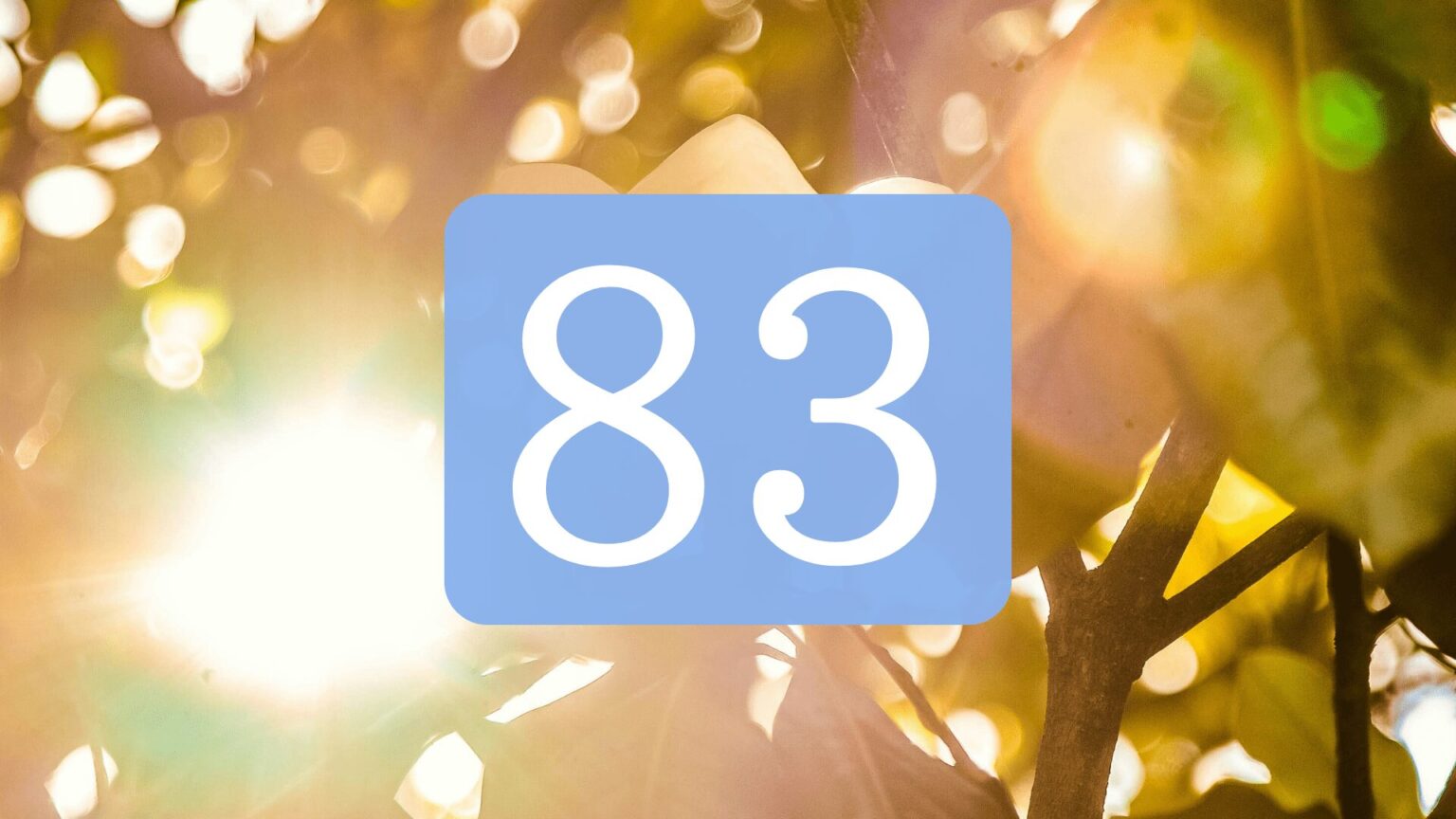 【83】エンジェルナンバーの意味は？ツインレイ・片思い・金運のメッセージ | やさしいエンジェルナンバー