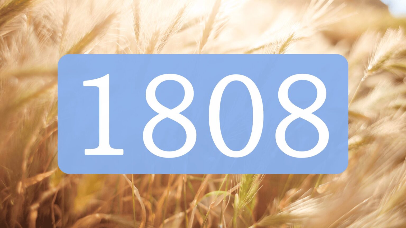 【1808】エンジェルナンバーの意味は？ツインレイ・片思い・金運のメッセージ | やさしいエンジェルナンバー