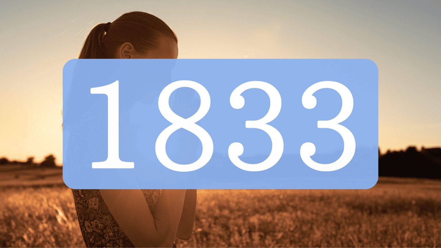 【1833】エンジェルナンバーの意味は？ツインレイ・片思い・金運のメッセージ | やさしいエンジェルナンバー