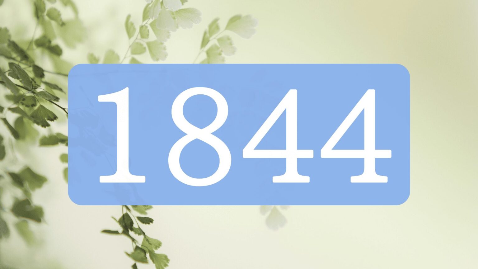 【1844】エンジェルナンバーの意味は？ツインレイ・片思い・金運のメッセージ | やさしいエンジェルナンバー